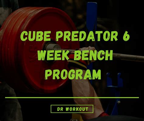 Cube Predator 6 Week Bench Program With Spreadsheet Dr Workout