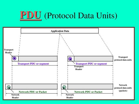 Ppt Chapter 8 Tcp Ip Powerpoint Presentation Free Download Id 1682010