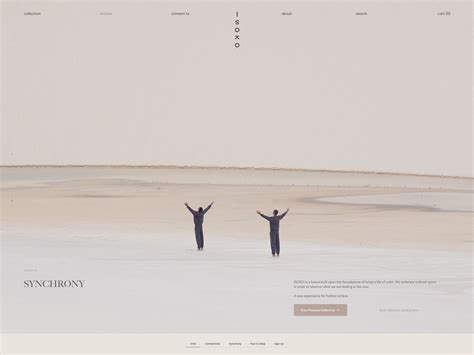 Ecommerce Design Awards Winners Isoko