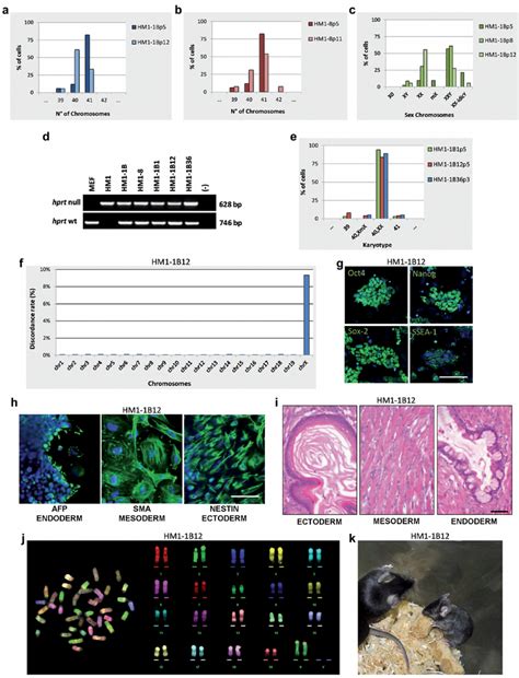 Isolation And Characterization Of The Sxx Clones A B Chromosome