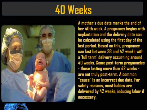 Conceptionobstetrics Nursing