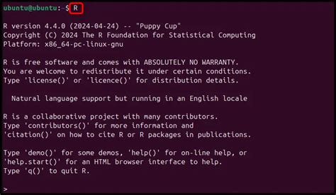 How To Install R On Ubuntu 2404 Lts Its Linux Foss
