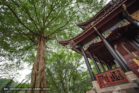丰都鬼城古建筑风光 国内旅游景点 旅游景点 摄影素材 汇图网www huitu