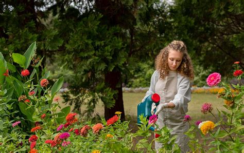 Які квіти треба садити у квітні щоб вони давали пишні суцвіття фото Читайте на Ukr Net