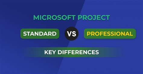 Microsoft Project Standard Vs Professional Key Differences