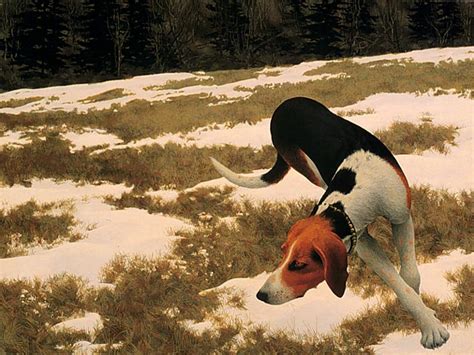 Hound In Field 1958 Alex Colville