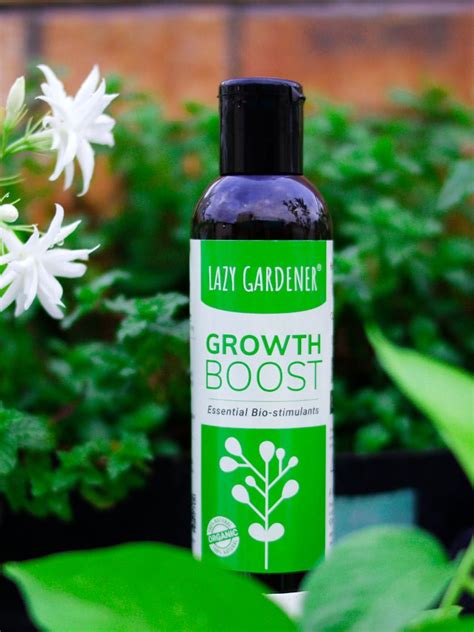 Growth Boost Liquid Fertiliser For Healthy Plants — Lazy Gardener