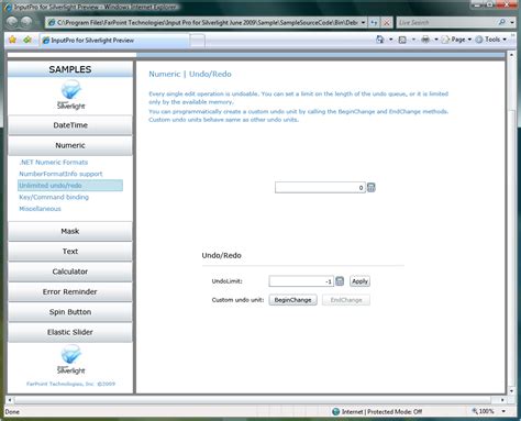 Input Pro For Silverlight（英語版）