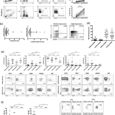 A Representative Flow Cytometry Plots Gated On Nk Cells Individual Download Scientific