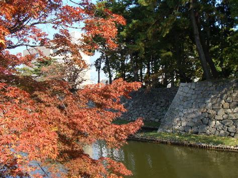 津城跡 お城公園に行く藤堂高虎公入府400年 吠えて勝つ 楽天ブログ