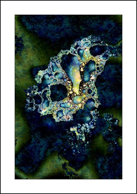 bird r fractals