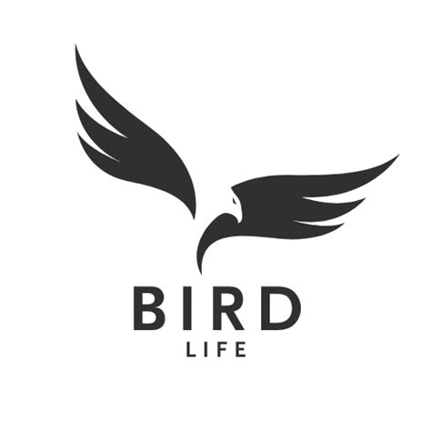 How The Archaeopteryx Sparked A Scientific Feud Still Echoing Today Bird