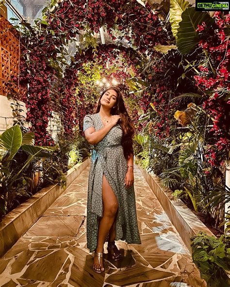 Supritha Wiki Biography Age Gallery Spouse And More