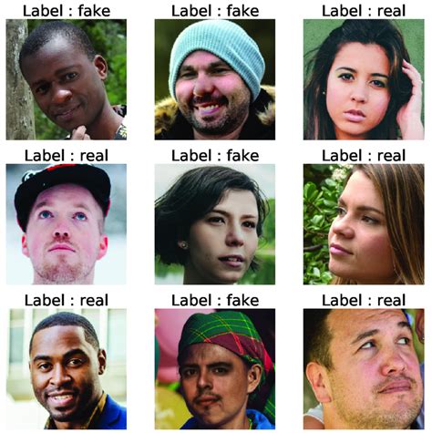 The Deepfake Dataset Sample Image Analysis With The Assigned Label Download Scientific Diagram