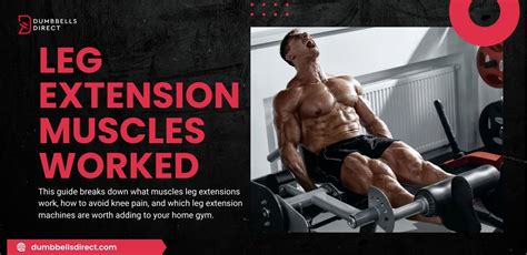 Leg Extension Muscles Worked Benefits Risks And Best Machines