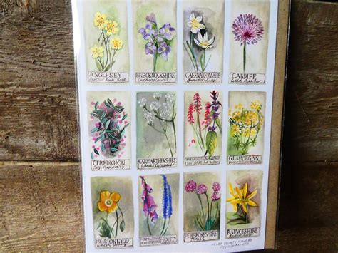 Welsh County Flowers The Dragons Garden