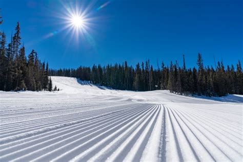 Sunrise Park Resort Ski Area In Arizona Photos