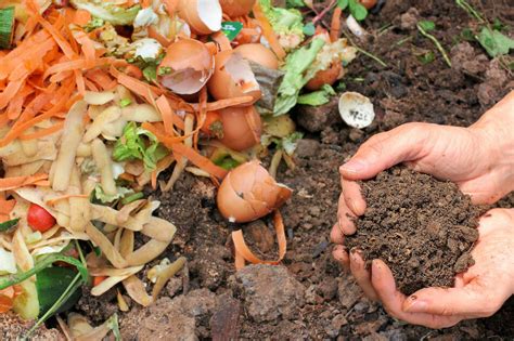 How To Get Started Composting At Home Building Maintaining And Using