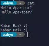 Tugas Sistem Operasi Input Output Awonapa Website Dan Blogging