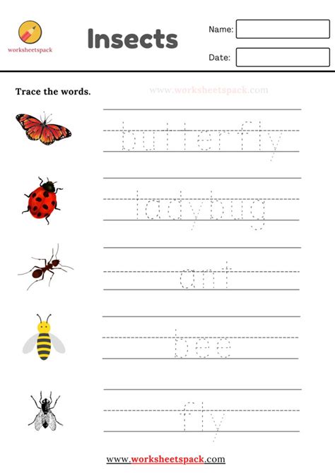 Insects Words Tracing Worksheets Worksheetspack Worksheets Library