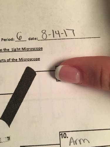 Microscope Quiz Flashcards Quizlet