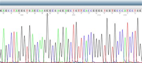 Researchers Encode Malware In DNA Compromise DNA Sequencing Software HITBSecNews