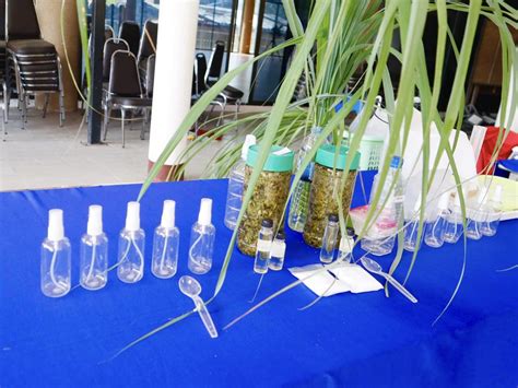 โครงการบ้านสวย ซอยสะอาด บ้านเวียงสวรรค์ หมู่ 9 ตำบลแม่เมาะ อำเภอแม่เมาะ จังหวัดลำปาง ประจำปี