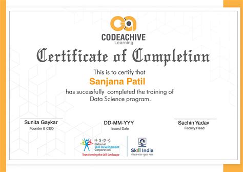 Data Sceince Program Codeachive Learning