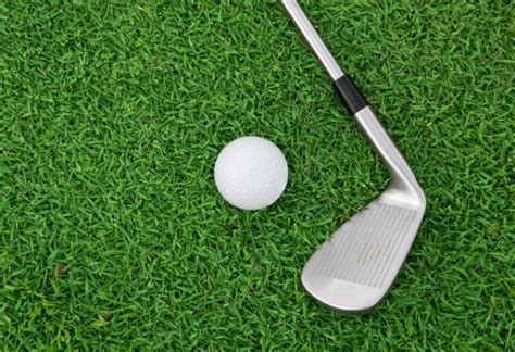 Creeping Bentgrass Identification And Control Guide School Of Garden