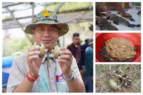 ក្តីសង្ឃឹមប្រកបដោយមោទកភាព