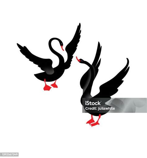 날개가 펼쳐진 두 개의 검은 백조 위기 흰색 배경에 고립 된 그림 백조에 대한 스톡 벡터 아트 및 기타 이미지 백조 검은색