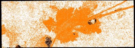 Ground Classification Results Download Scientific Diagram