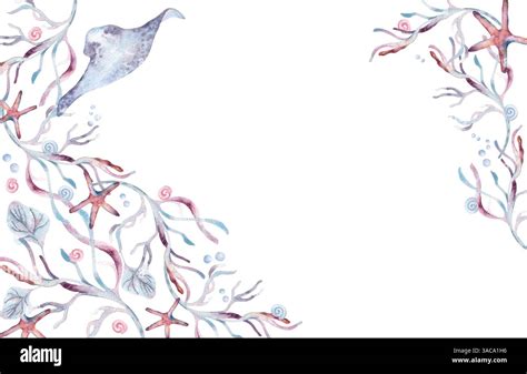 Pink Seaweeds And Blue Stingray Aquatic Monochrome Banner Watercolor