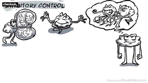 Podeduc Executive Function Your Brains Control Cen…