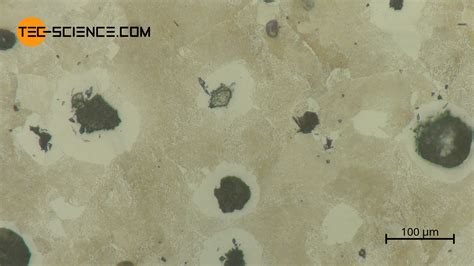 Nodular Cast Iron Microstructure