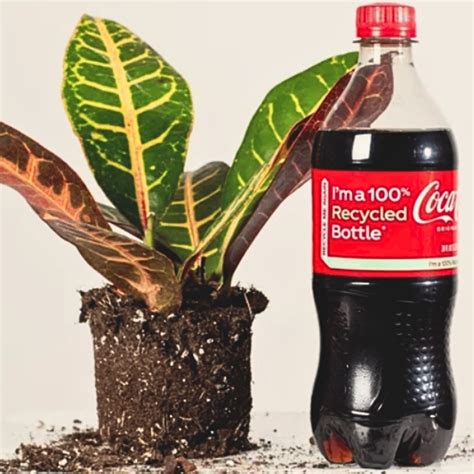 Nick Taliadouros On Linkedin Sustainability Recycling Cocacola