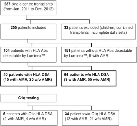 Of The Study Design And Results Of The HLA Antibody Analysis Download Scientific Diagram
