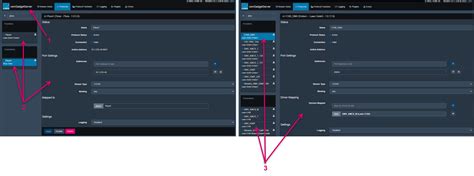 Interface Plura Timer With C100 Vm Dmv