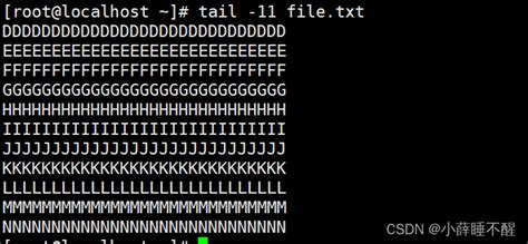 Day03 一些linux的常用命令linux 查看文件中的隐藏字符 Csdn博客