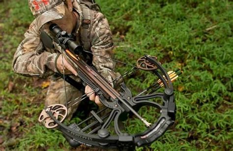 5 Types Of Crossbows And Some Interesting Facts
