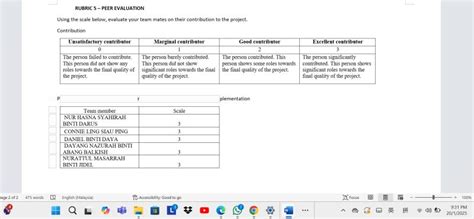 Peer Evaluation To Volunteers Project Ppd 1041 Lu Jun Hui