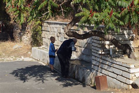 C Php Vb Net Камилски дол