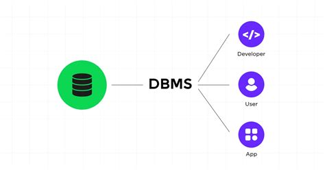 Revolutionizing Data Handling Big Data Management With Dbms Dissected