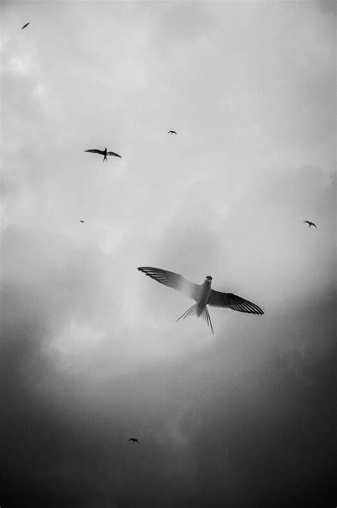 Vitaly Severov Summer Shore Phases Magazine