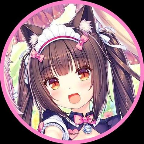 Nekopara Chocola Pfp Icon