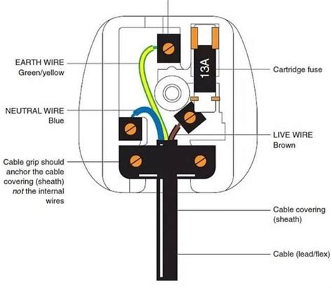 Understanding The 3 Pin Plug Anatomy And Wiring Diagram Wiring Today