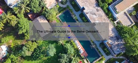 The Ultimate Guide To The Bene Gesserit Babehood Unveiling Their Secrets Infographic
