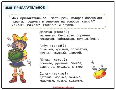 Русский язык 3 класс имя прилагательное Урок 21 имя прилагательное Русский язык 3 класс