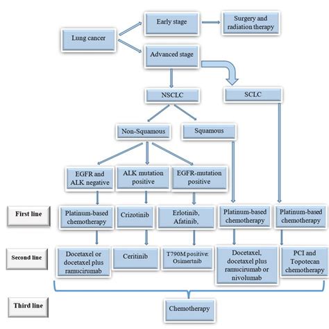 Treatment Algorithm For Different Types Of Lung Cancers Download