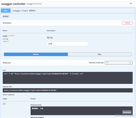 Java后端入职第八天，配置swagger接口文档（swagger文档）java后端开发 Csdn专栏